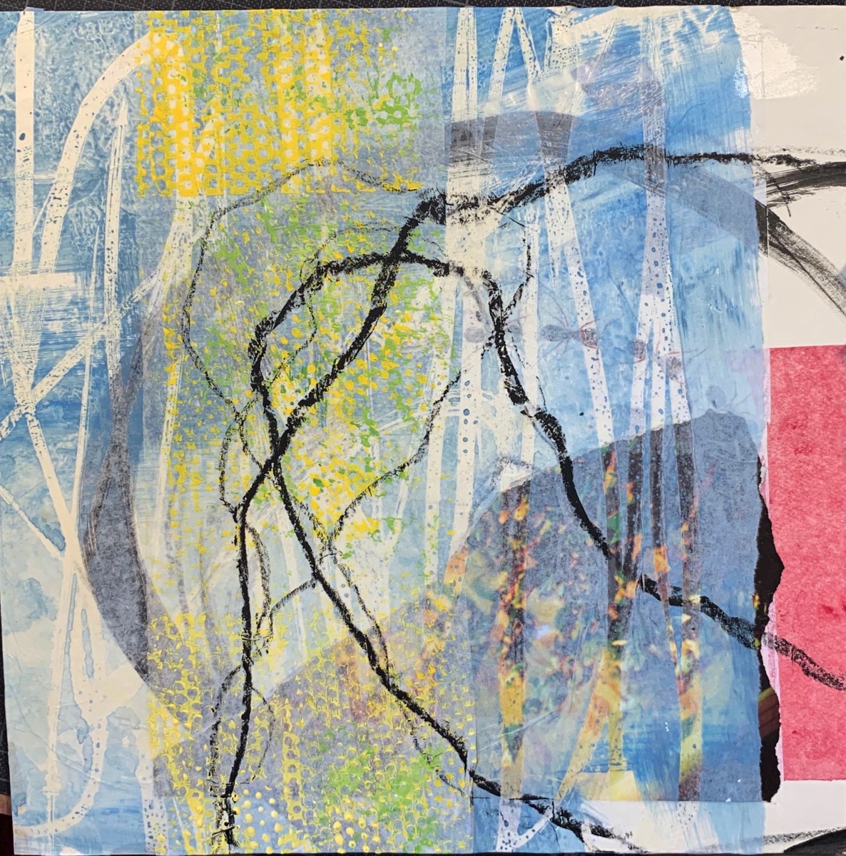 alexandra serra | alexandra serra