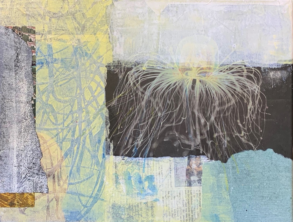 alexandra serra | alexandra serra