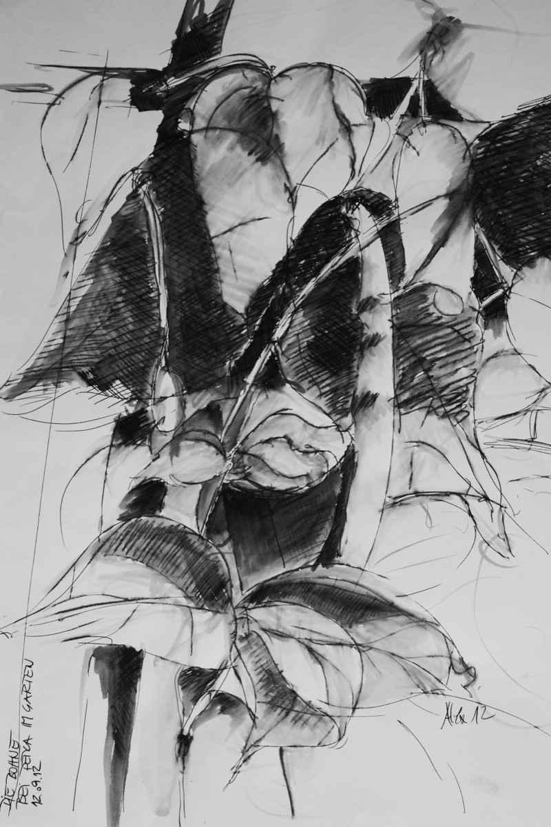 alexandra serra | alexandra serra